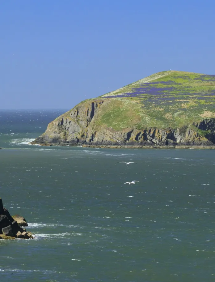 Atyniadau fferm bydd teuluoedd yn eu mwynhau | Croeso Cymru